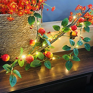 Artificial Fruit Pomegranate String Lights 6.56ft/20LED Rosehips Hanging Vines Plant Garland Foam Berries Light for Home Garden Wedding Party Decor (Z-Pomegranate Light, 1 Pack)