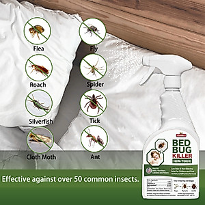 Duuda 22oz Bed Bug Spray, Child & Pet Friendly Bed Bug Kill with Extended Residual Protection, Natural Dust Mite Spray, Non-Toxic Flea Killer