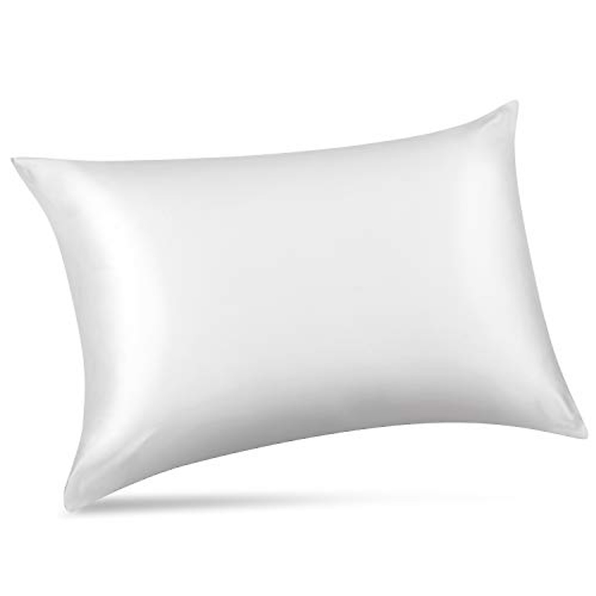 ALASKA BEAR Silk Pillowcase Cover for Hair and Skin, 100% Mulberry Silk Pillow Cases Queen Size for Bliss Sleep with Random Scrunchy Gift Set Better Than Poly Satin, Zipper Closure, 1pc, Cool White