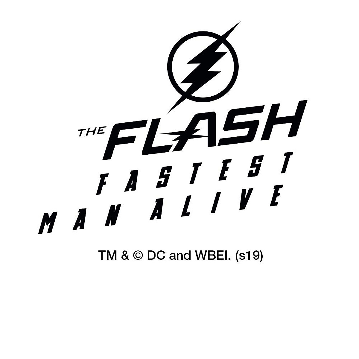 GRAPHICS & MORE The Flash TV Series STAR Labs Logo Keychain Spinning Round Chrome Plated Metal