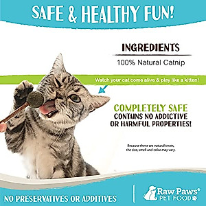 Raw Paws Catnip Lollipops, 6 ct - Cat Toys for Indoor Cats, Interactive Cat Toy, Catnip Toys, Silvervine Cat Toy, Silvervine for Cats, Cat Kicker Toy, Catnip Ball, Cat Ball Toy, Catnip Lolli-pops