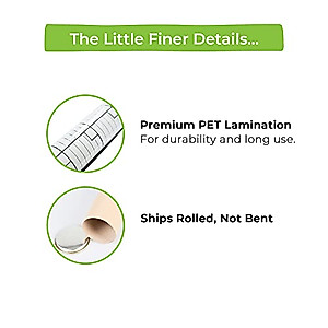 WallDeca Monthly Dry Erase Wall Calendar Planner Whiteboard: Wipe Off Erasable Calendar | Use in Classroom, Office, Home, Kitchen! (24 x 36 Inch)