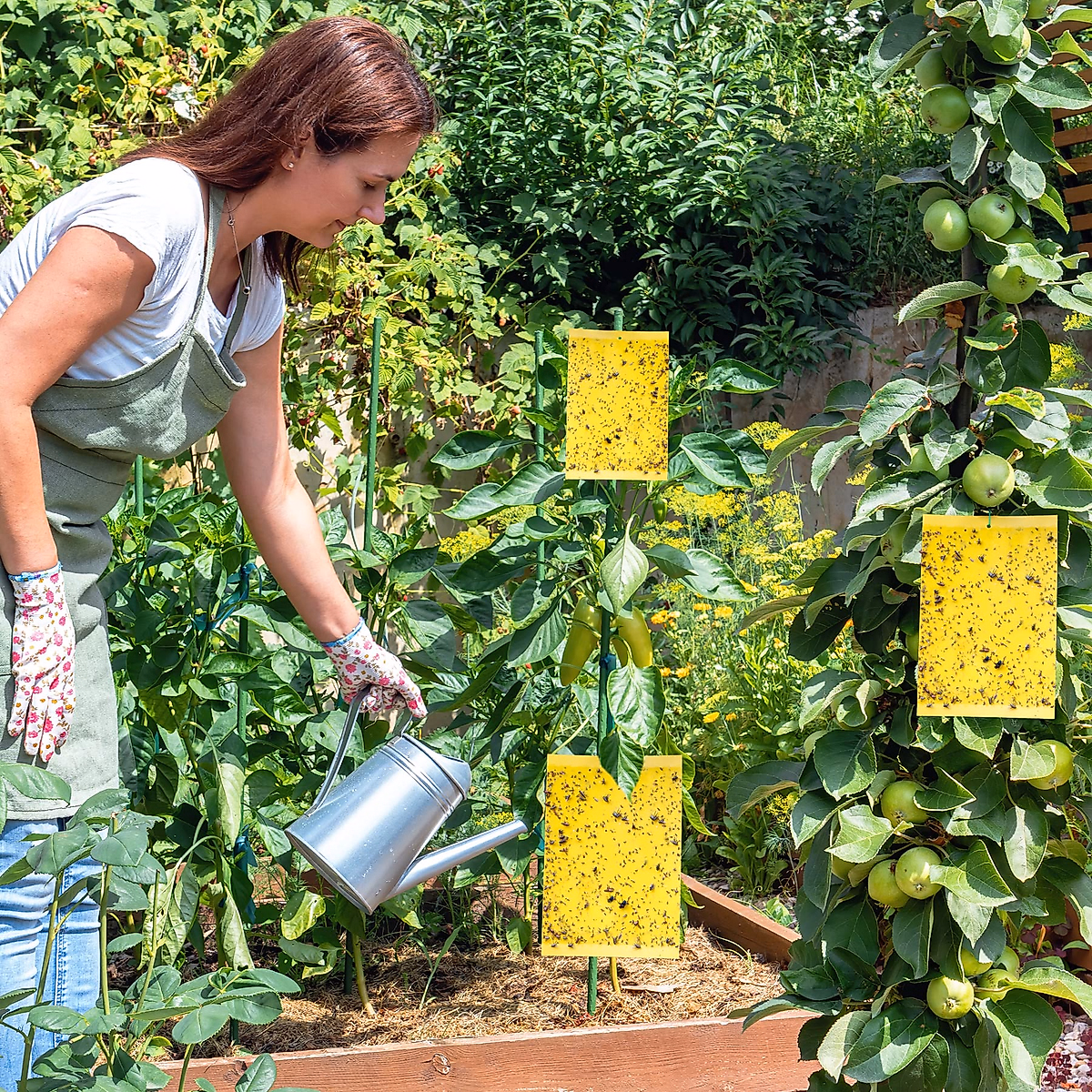 PESTCON 10PCS Yellow Sticky Traps for Plants Fungus Gnats Sticky Traps for Indoor or Outdoor Hanging Fruit Fly Traps for Catching Mosquitoes Whiteflies Aphids Leafminers... Twist Ties Included