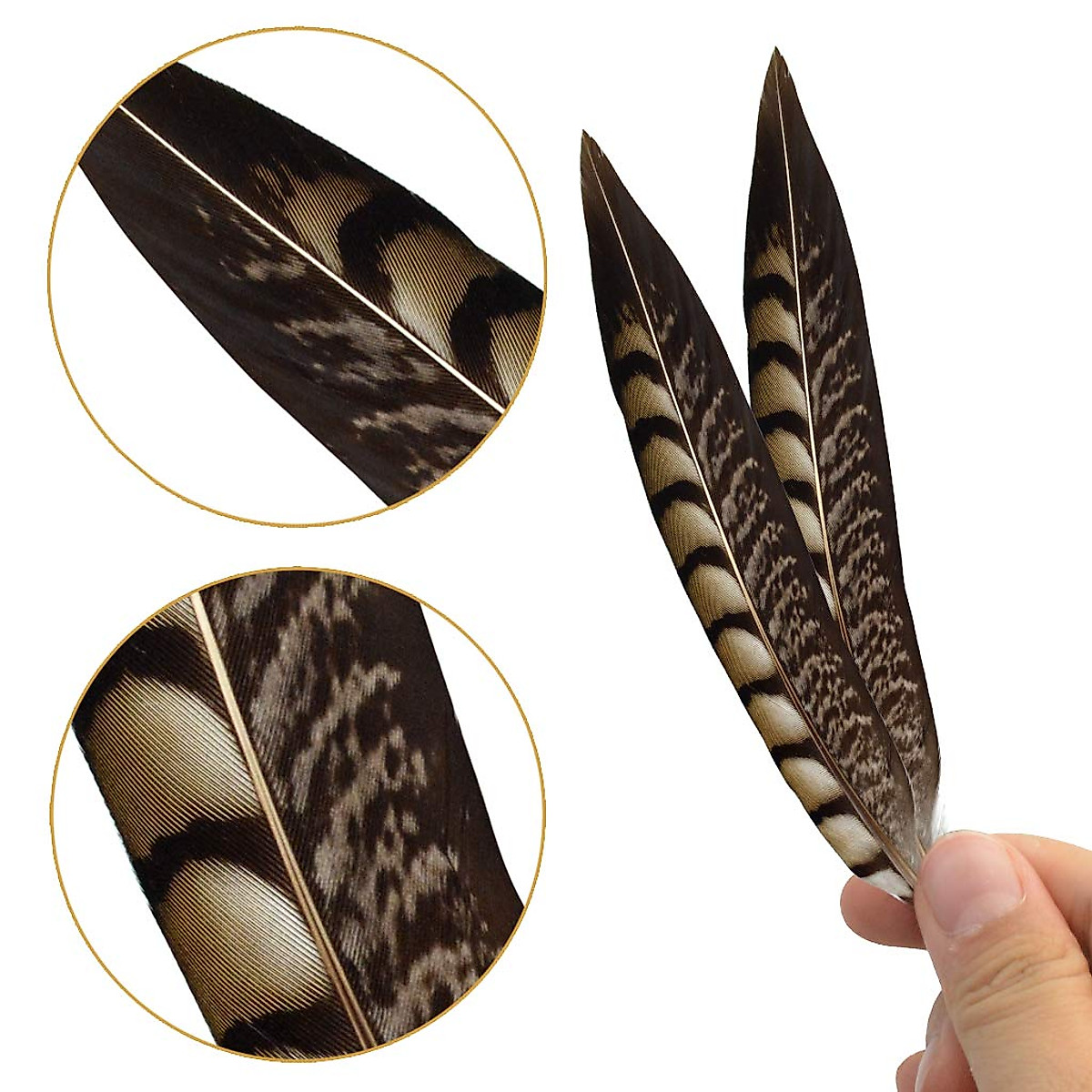 obmwang 21 Pcs 20-25cm Natural Pheasant Feathers for DIY Craft Wedding Home Party Decorations, 3 Styles