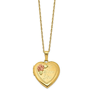 Diamond2Deal 10k w/ 12k Accents and 14k Gold-filled Chain Necklace Black Hills Locket