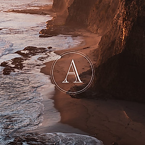 Archipelago Botanicals Black Forest Travel Tin Candle, Dark Ebony Wood, Douglas Fir and Black Currant Scent, Lead-Free Candle Wick, Burns Approx. 30 Hours (5.7 oz)