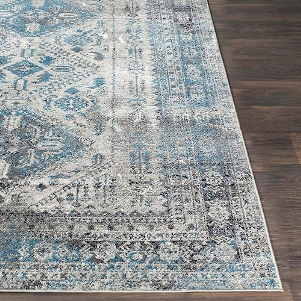 Livabliss Desta Vintage Oriental Area Rug,5'3" x 7'3",Blue/Grey