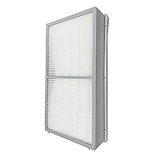 Nispira Premium HEPA Filter Replacement Compatible with Hunter Air Purifier Model 30729, 30713, 30730, 30763, 36730. Compared to part 30962. 1 Filter