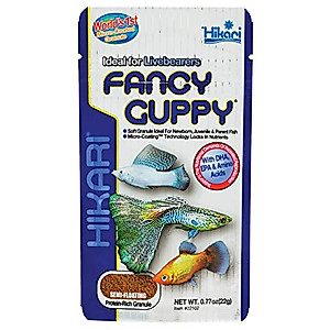 Hikari Tropical Fancy Guppy Fish Food, 0.77 oz (22g)