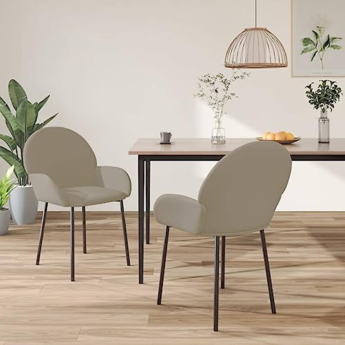 vidaXL Dining Chairs in Light Gray Velvet - Elegant, Modern Design, Comfortable Foam Filling, for Living Room, Dining Room, and More - Set of 2