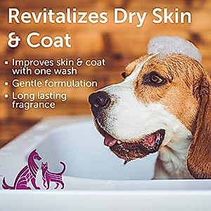 Nootie - Pet Shampoo for Sensitive Skin - Revitalizes Dry Skin & Coat - Natural Ingredients - Soap, Paraben & Sulfate Free - Cleans & Conditions