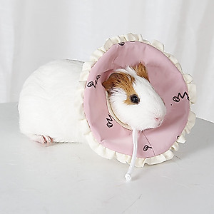 NICEYST Hamster Cone Recovery Collar After Injury Anti-Lick Anti-bite Pet Protection Collar for Small Animal Elizabethan Collar for Rabbit Guinea Pigs Rats Ferret Squrrel (L, Pink)
