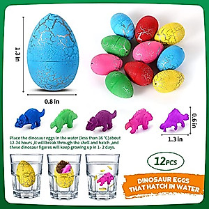 Dinosaur Birthday Party Supplies for 12 Kids, Dino Gift Bags Party Favors with Dinosaur Eggs That Hatch, mini dinosaur figures grown in dark , Slap Bracelets, Rubber Rings and Tattoos Stickers for dino themed party Gifts, Goodie treat Bags Fillers