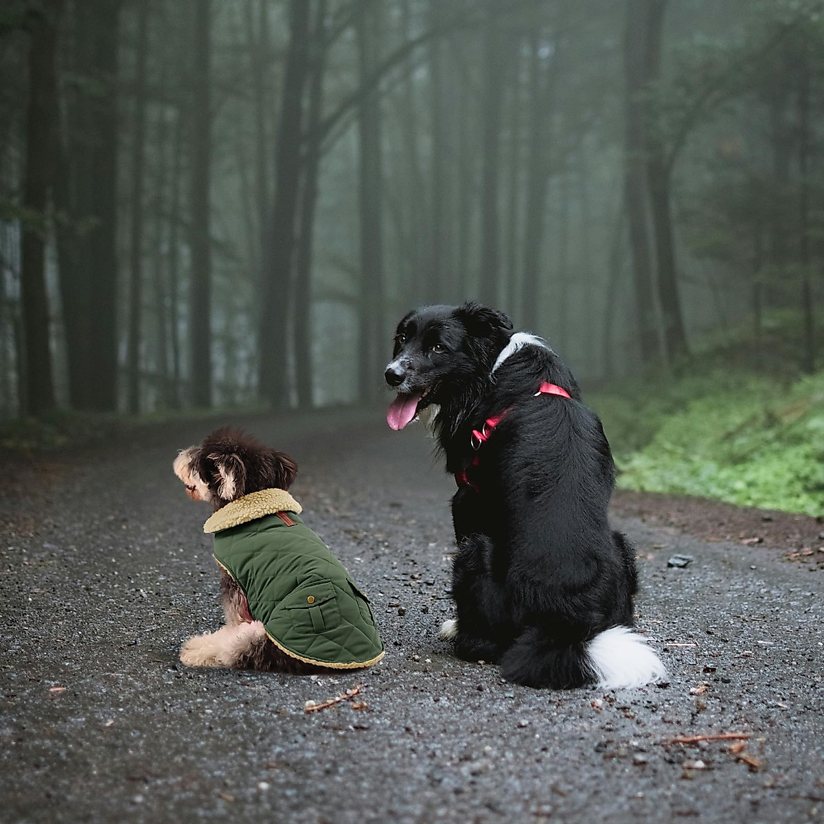 Queenmore Warm Dog Coat, Cold Weather Puffer Dog Coat, Quilting Winter Dog Jacket Ultra Thick Plush Lining with Storage Pockets (Brown, Small)