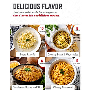 READYWISE - Entrée Grab & Go Bucket, 60 Servings, Emergency, MRE Supply, Premade, Freeze Dried Survival Food for Hiking, Adventure & Camping Essentials, Individually Packaged, 25 Year Shelf Life