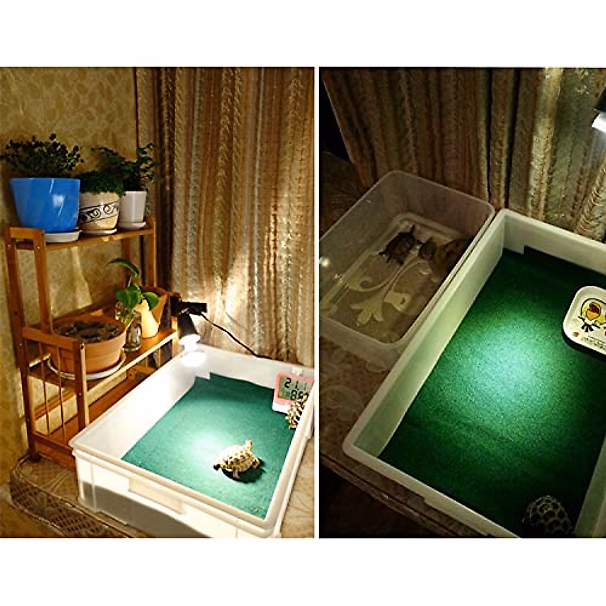 Mechpia 59" x 20" Reptile Carpet, Terrarium Extra Large Mat Liner Bedding Reptile Substrate Supplies for Bearded Dragon Lizard Leopard Gecko Snake Tortoise (Green)