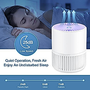 Smart Air Purifiers for Home - Air Cleaner with HEPA Filter Filters Out 99.97% Dust, Dander, Smoke, Odor for Home, Bedroom, Living Room, Kitchen Ultra Quiet and Effective