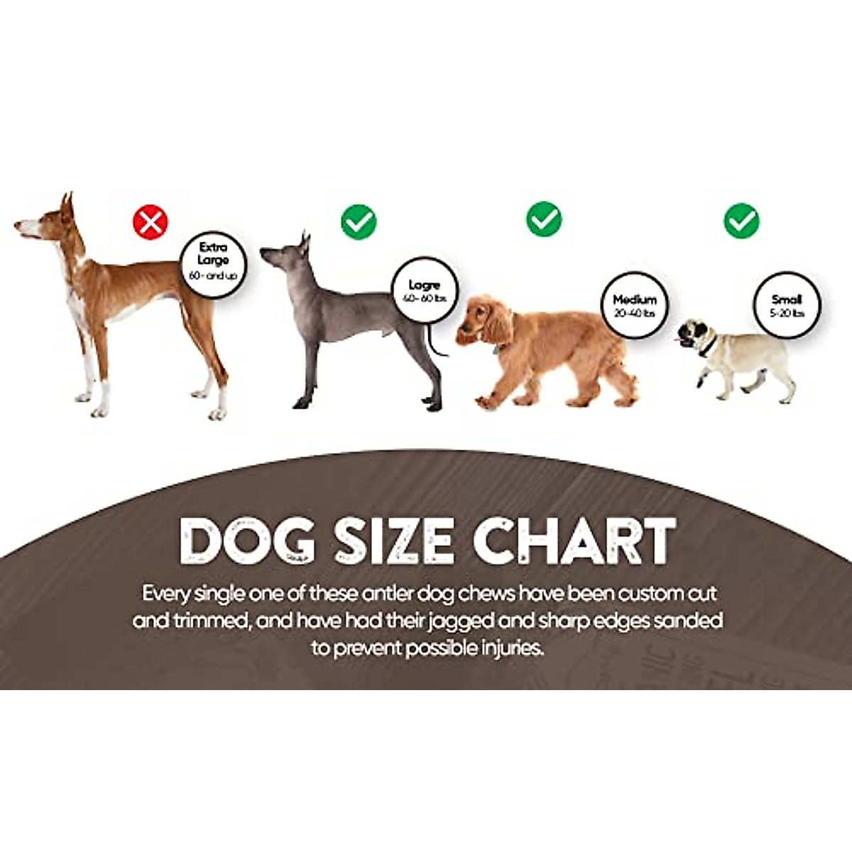 WhiteTail Naturals - Lamb Horns for Dogs (2 Pack) Long Lasting Dog Chews - Grain Free Chew Bone - Natural Sheep Horn Treat - Tough Chew Toy for Medium Breeds and Teething Puppies.