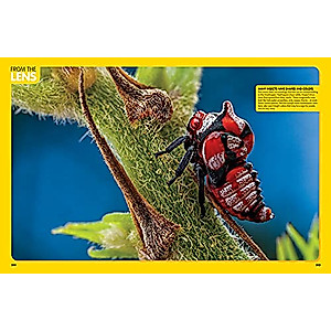 National Geographic Kids Animal Encyclopedia, 2nd Edition: 2,500 Animals with Photos, Maps, and More!