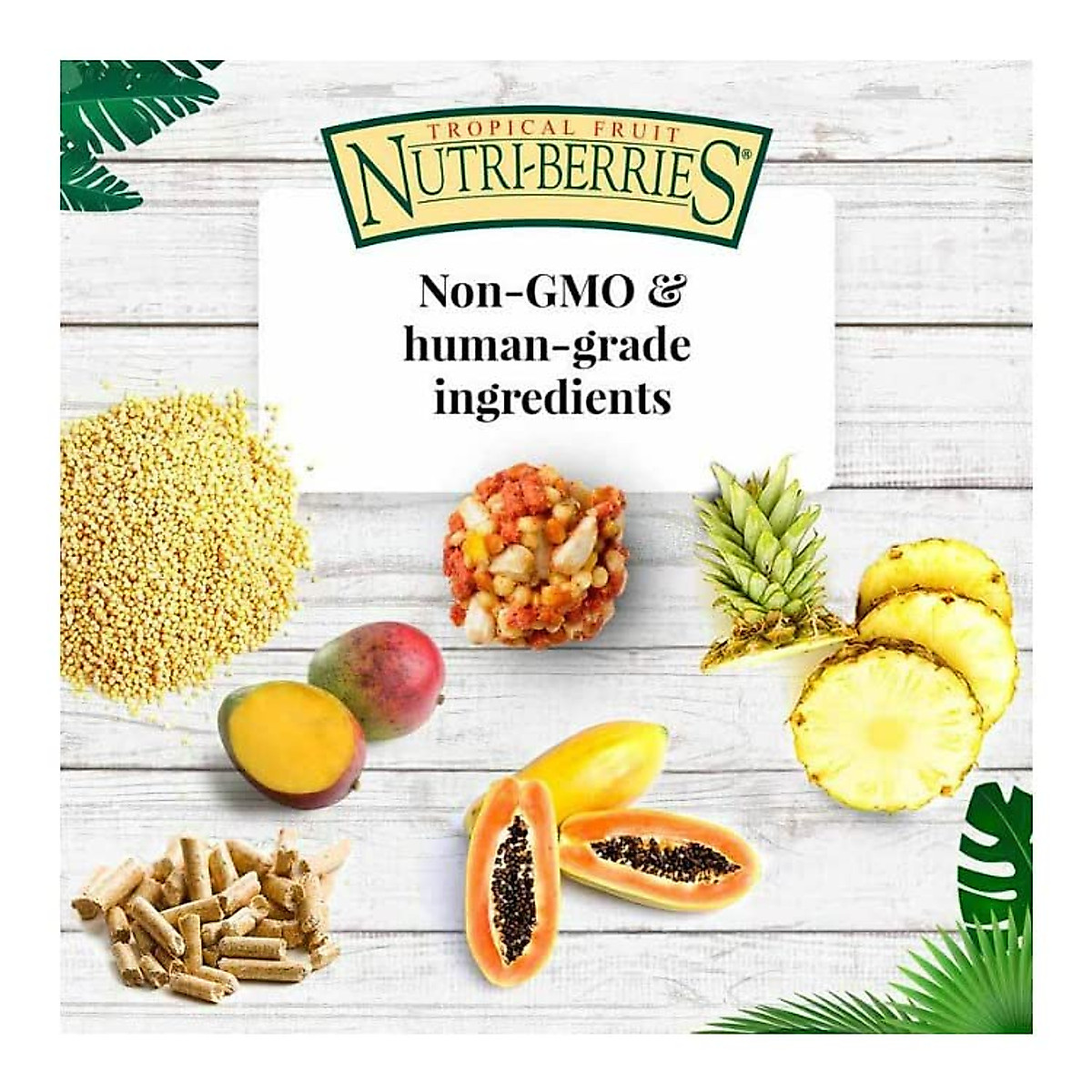 Lafeber Tropical Fruit Nutri-Berries Parrot Food 10 oz bag (2 Pack)