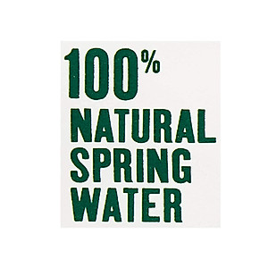 Poland Spring Natural Mineral Water 16.9 oz. 24 pk. (2 cases)