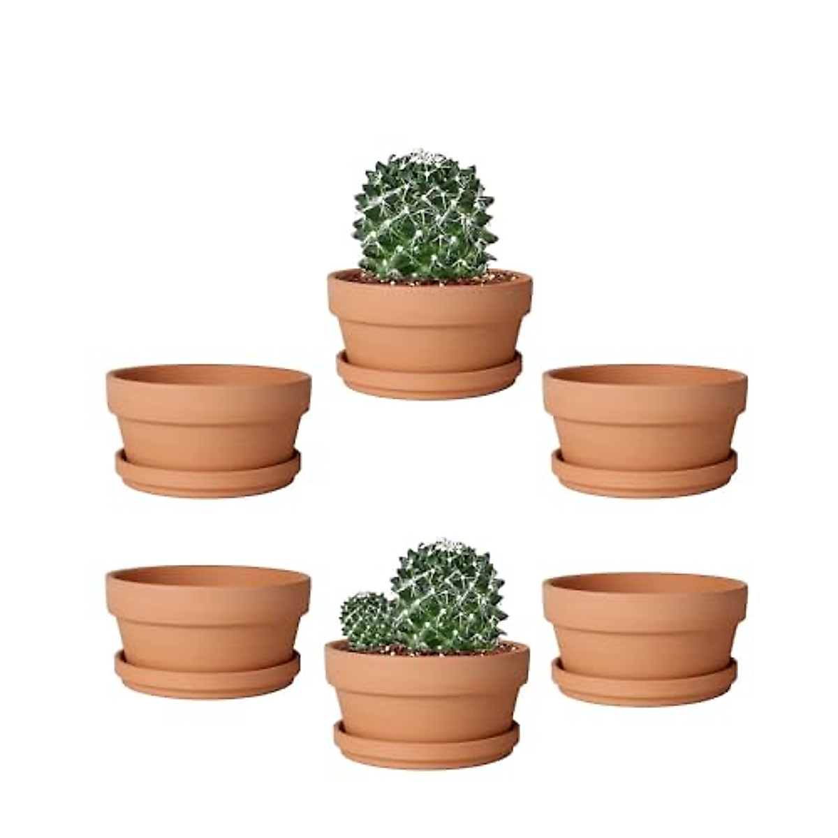 vensovo 5.7 Inch Terracotta Shallow Succulent Pot - 6 Pack Terra Cotta Clay Pots with Saucer, Cacuts Terra-Cotta Indoor and Outdoor Planters with Drainage Hole