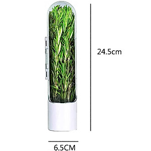 3PCS Herb Saver for Refrigerator, Herb Keeper-Vegetable Preservation Bottle, Cilantro Containers For Refrigerator, Fresh Herb Keeper for Cilantro, Mint, Asparagus, Keeps Greens Fresh for 2-3 Weeks