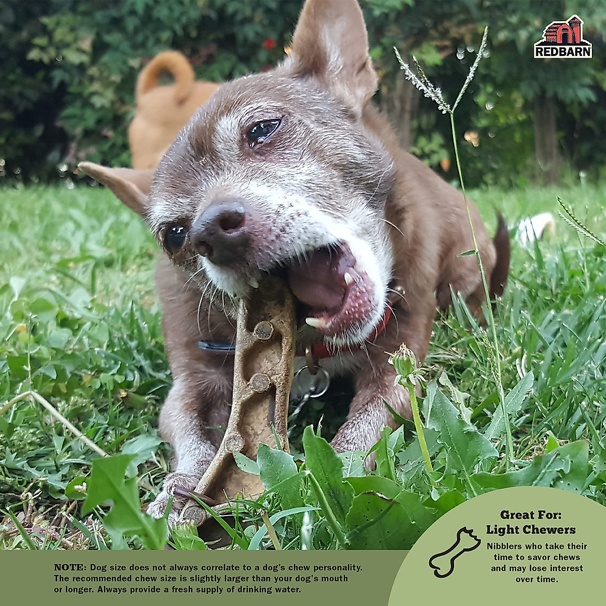 Redbarn Chew-A-Bulls (Size: Large | Shape: Brush | 6-Count (Pack of 1))