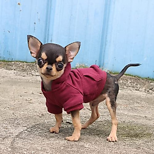 LOPHIPETS Dog Hoodies Sweatshirts for Small Dogs Teacup Chihuahua Yorkie Puppy Clothes Cold Weather Coat-Red/XXS