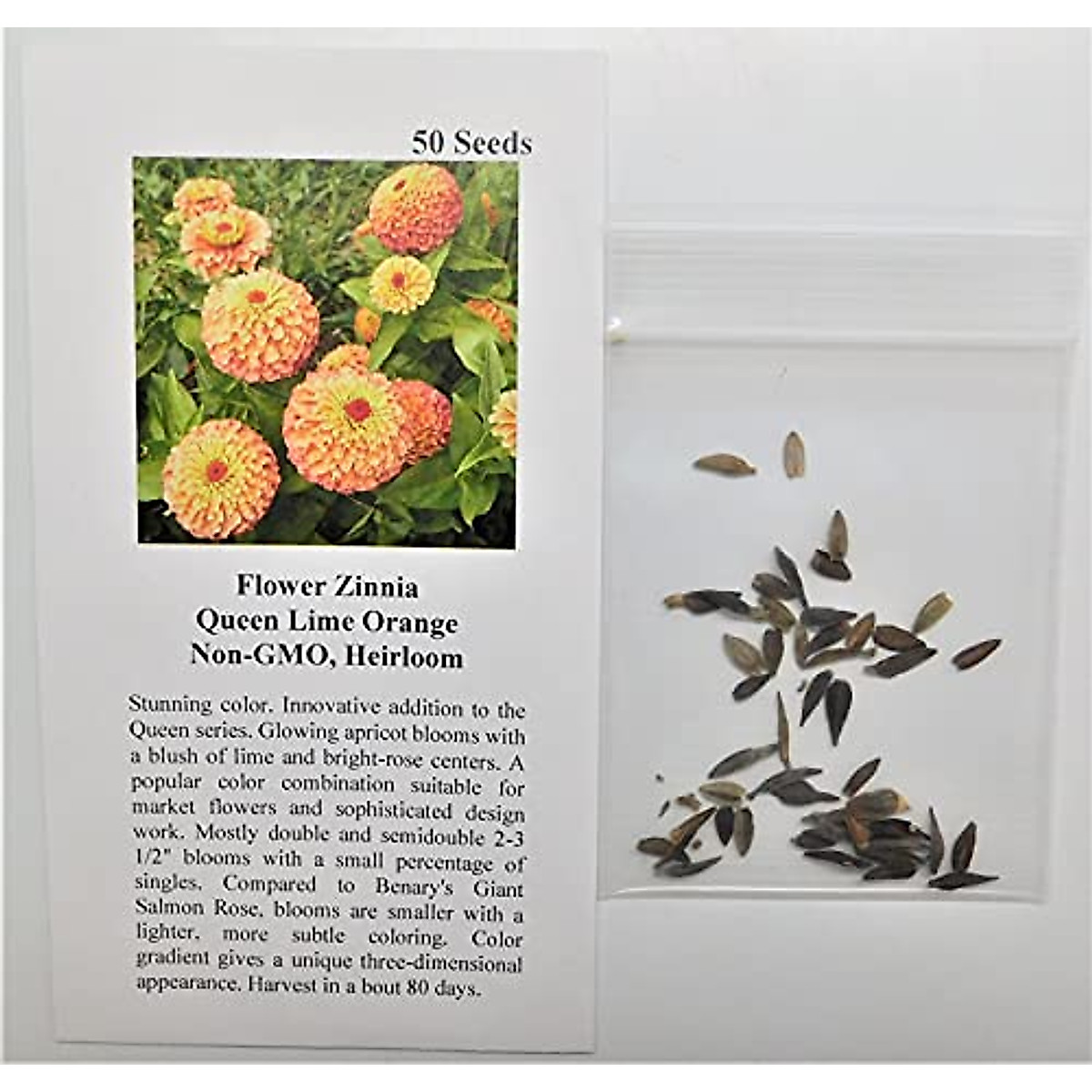 David's Garden Seeds Flower Zinnia Queeny Lime Orange 7676 (Orange) 50 Non-GMO, Open Pollinated Seeds