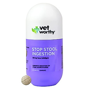 Vet Worthy Stop Stool Ingestion - Daily Supplement for Dogs to Prevent Stool Eating - Dog Supplement with Yucca Schidigera, Parsley Leaf, Chamomile, Thiamine - Liver Flavor, 60 Chewable Tablets