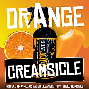 Boat Juice 2in1 Interior Boat Cleaner & Protectant Spray | Vinyl Boat Seat Cleaner + Ceramic UV Protection | Also for Upholstery, Carpet | Marine Detailing, Orange Creamsicle Scent, Made in USA (32oz)