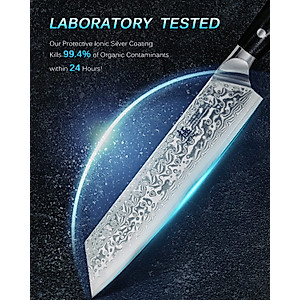 KYOKU Kiritsuke Chef Knife - Gin Series - 8.5" Multipurpose Professional Chef Knife, Japanese VG10 Damascus Stainless Steel Kitchen Knife with Silver Ion Blade G10 Handle Mosaic Pin