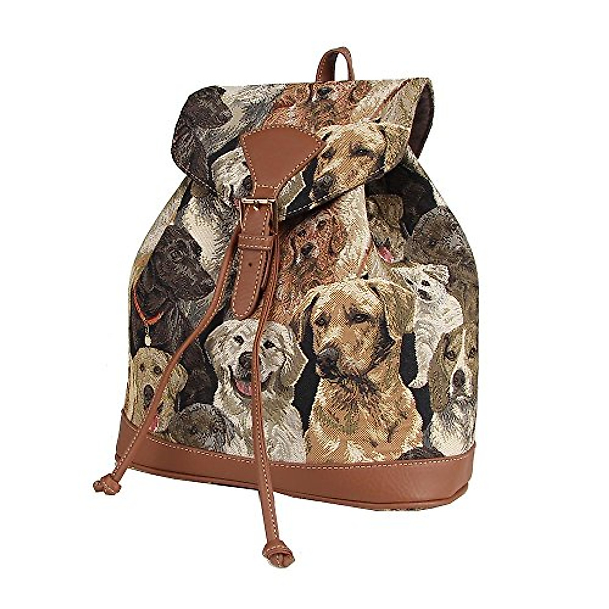 Signare Tapestry Fashion Backpack Rucksack for Women with Labrador Dog (RUCK-LAB)