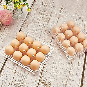 60 Pack Plastic Egg Cartons Cheap Bulk 1 Dozen Clear Empty Egg Cartons for Chicken Eggs, Reusable Egg Carton for Home Ranch Chicken Farm, Commercial Business Market Display, 3x4 Grids, M