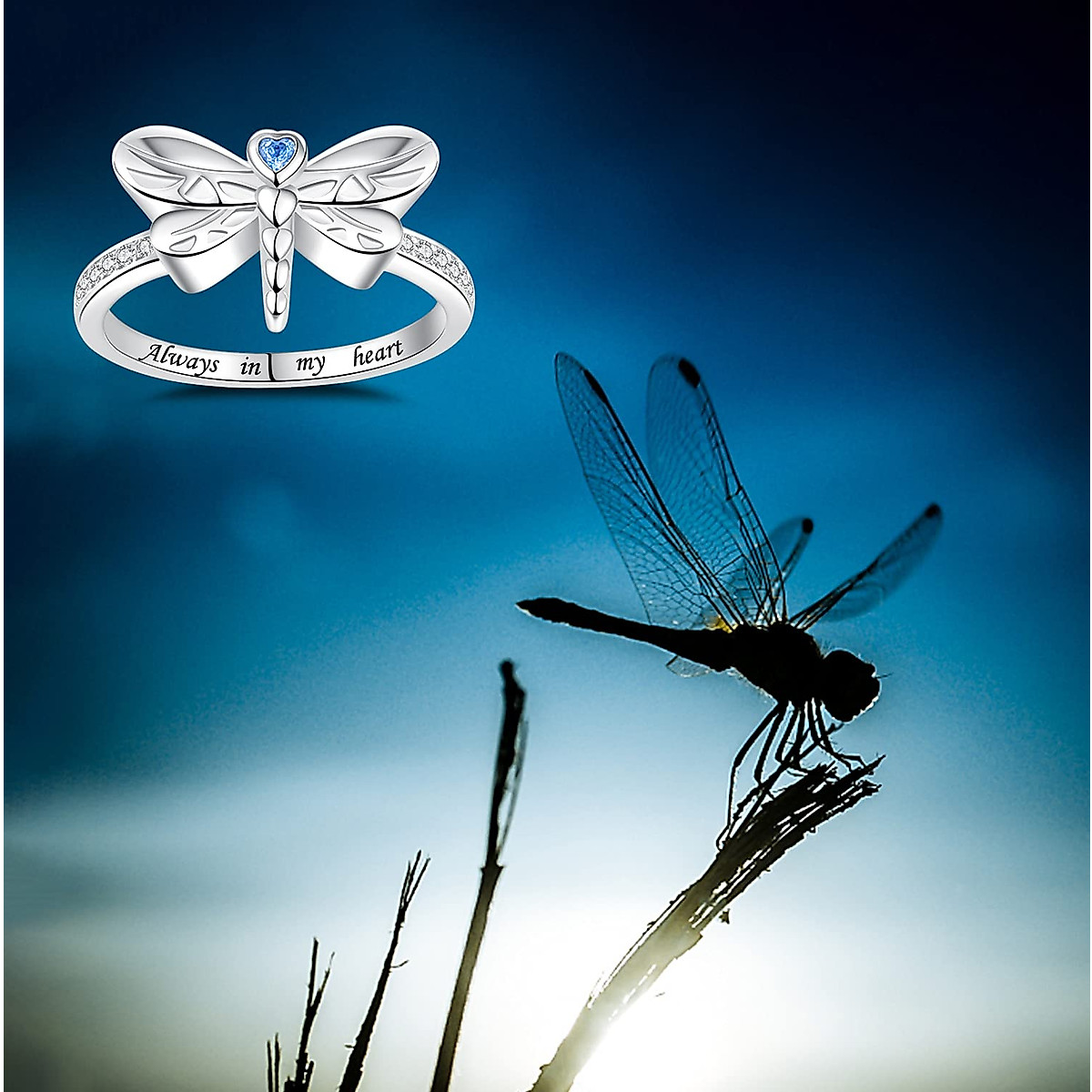 Sterling Silver Dragonfly Urn Ring Always in My Heart Women Ring Animal Memorial Keepsake Cremation Ash Jewelry for Loss of a Loved One