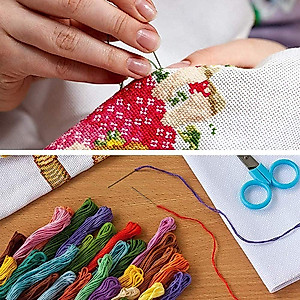 Cross-Stitch Stamped Kits, Good-Natured Cat, DIY Designs Cross-Stitch Easy Supplies Needlework, Needlepoint Embroidery Gift for Home Decor 16x20 inch