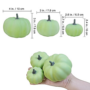 BESTTOYHOME 12 Pcs Assorted Small Artificial Pumpkins Light Green Faux Pumpkins Rustic Harvest Decorative Pumpkins Foam Pumpkins for Fall Wedding Halloween Thanksgiving Table Centerpiece Mantel Décor