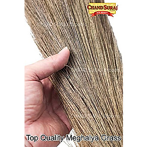 CHAND SURAJ ® Raver Grass Broom Stick | Phool Jhadu | for Floor Cleaning with Plastic Handle (Multicolour, 43 inches Long) Pack of 2