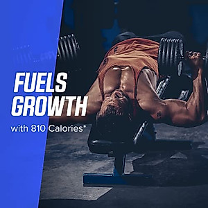 Bodybuilding Signature Signature Mass Gainer | 50g of Mass-Building Protein | Protein, Calories, Fats, Probiotics and Carbohydrates | 5 Lbs. Vanilla