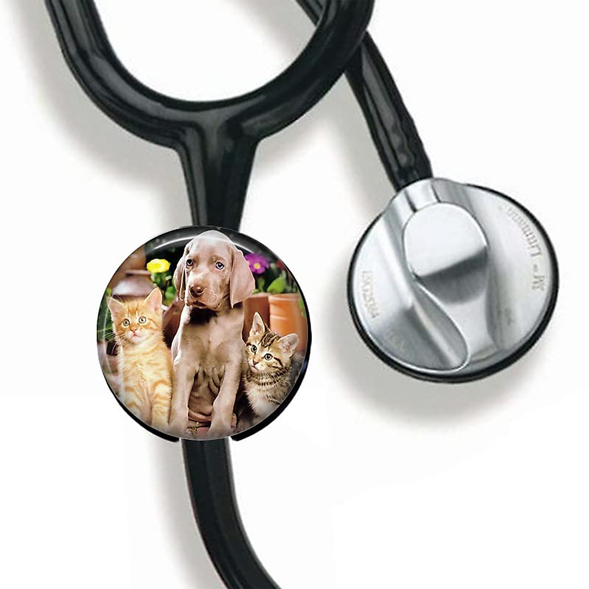 CHNLML Stethoscope Name Tag Nurse Doctor Stethoscope ID Tag Customized Steth ID Tag (Labrador Puppy with Cats)