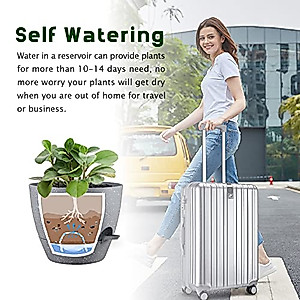 Warmplus Plastic Plant Pots Set of 3, 10/9/8 Inch Planters for Indoor, Plants with Drainage Holes and Watering Lip for Snake Plant, African Violet, Aloe and Most House Plants, Grey