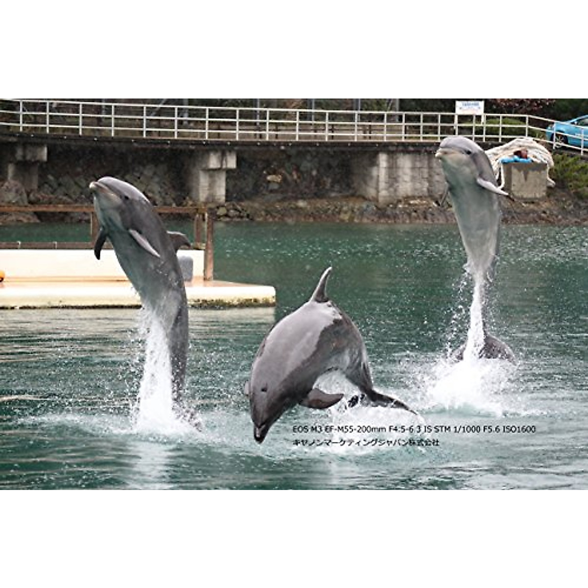 Canon Mirror-Less SLR Camera EOS M3 Double Lens kit (White) EF-M18-55mm F3.5-5.6 is STM EF-M22mm F2 STM Comes EOSM3WH-WLK [International Version, No Warranty]