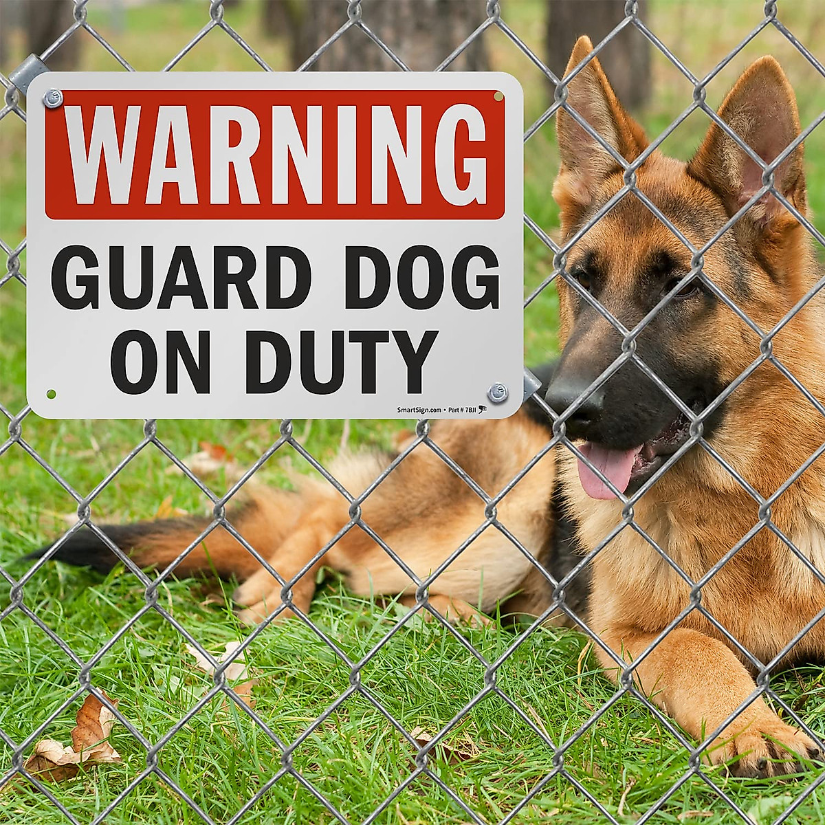 SmartSign - S-2430-AL-10 Warning - Guard Dog on Duty Sign by | 7" x 10" Aluminum Black/Red on White