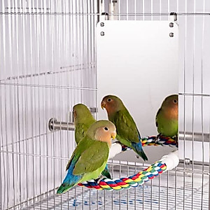 Barn Eleven Bird Mirror with Rope Perch Cockatiel Stainless Steel Mirror Parrot Swing Toys Parrot Cage Toys for Parakeet Cockatoo Cockatiel Conure Lovebirds Finch Canaries (Small)