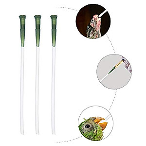 POPETPOP 3pcs Young Birds Feeding Syringe Plastic and Perspex Material for Feeding Milk for Young Birds or Feeding Medicine for Sick Birds
