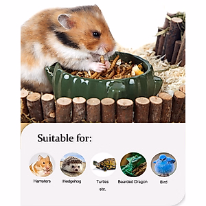 Reptile Food Dried Mealworms Pet Worms Food for Bearded Dragon, Lizard, Turtles, Chameleon, Monitor, Frog, Sugar Glider, Chickens, Birds, Hamsters and Hedgehogs (3.5 OZ)