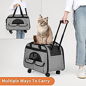 Large Rolling Cat Carrier with on Wheels, Small Dog Pet Car Travel Carrier Collapsible Bag with Rollers Wheels, Carrier for Cats under to 35 LBS/ Dog Puppy under 16 LBS ( Large Size, Not for Airplane)