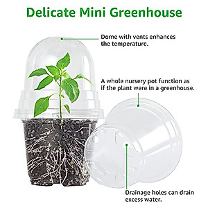 Bonviee 36 Packs 3.5/4/5 Inch Clear Nursery Pots with Humidity Domes, Variety Sizes Seed Starting Pots with Drainage Holes, Transparent Garden Containers for Succulents, Flowers and Cactus-Clear