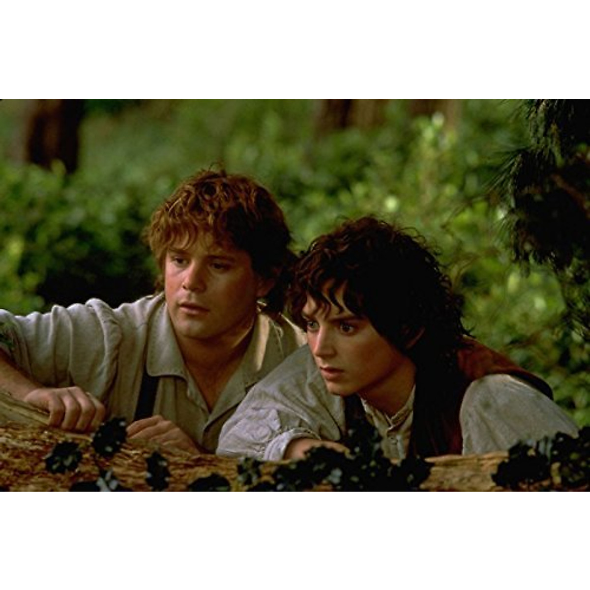 The Lord of the Rings: The Motion Picture Trilogy (Extended Edition Blu-ray)